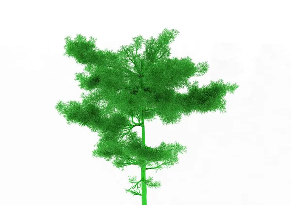 Baby tree Stock Photos, Royalty Free Baby tree Images | Depositphotos