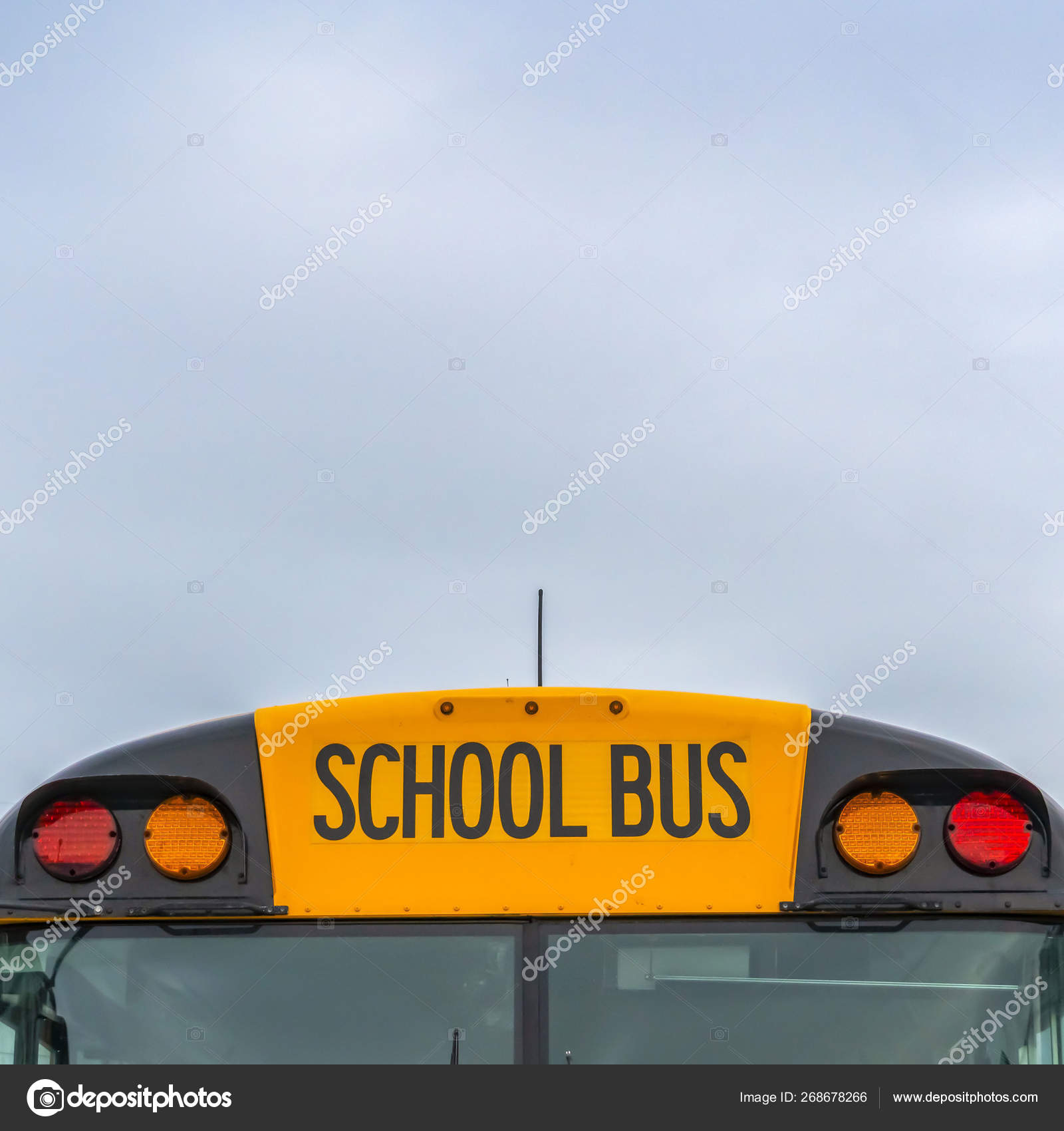 School Bus Back View
