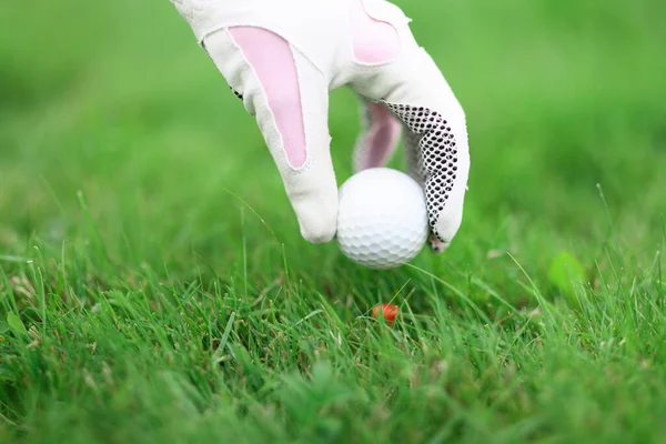 Hand in golf glove secures the ball to hit. - Stock Image - Everypixel