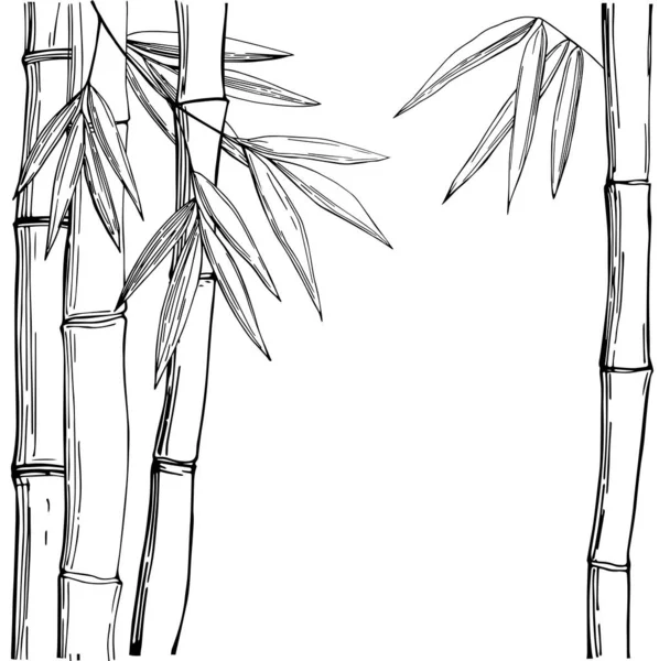 Sketsa bambu Vektor Stok, Ilustrasi Sketsa bambu Bebas Royalti ...