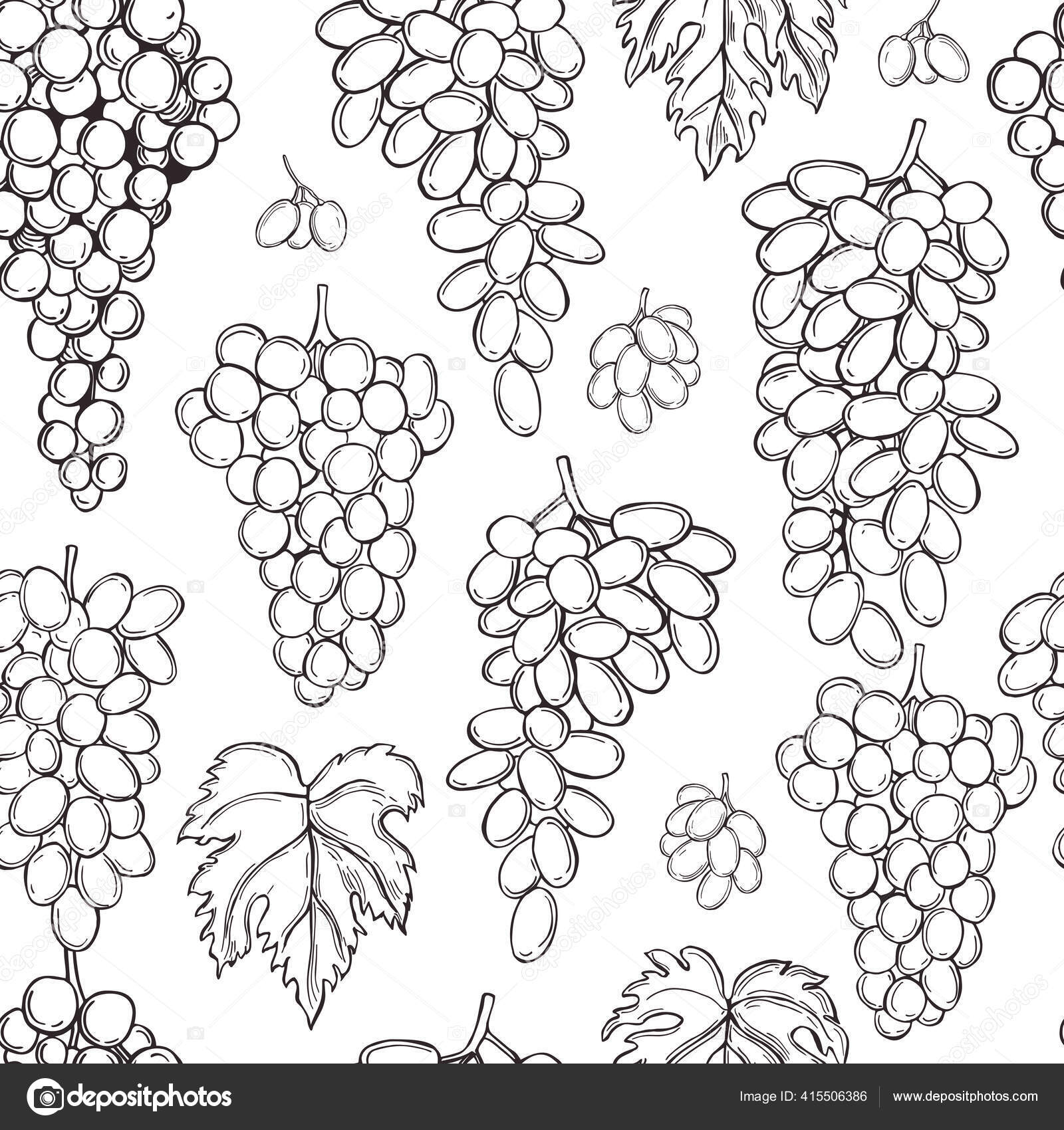 Hand Drawn Grapes White Background Vector Seamless Pattern Stock Vector ...