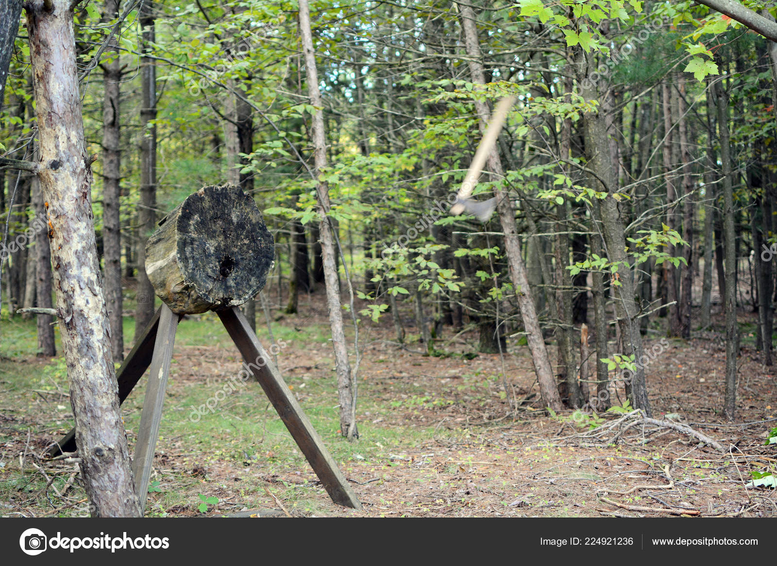 Tomahawk Hatchet Thrown Target Woods Stock Photo by ©BkCory 224921236
