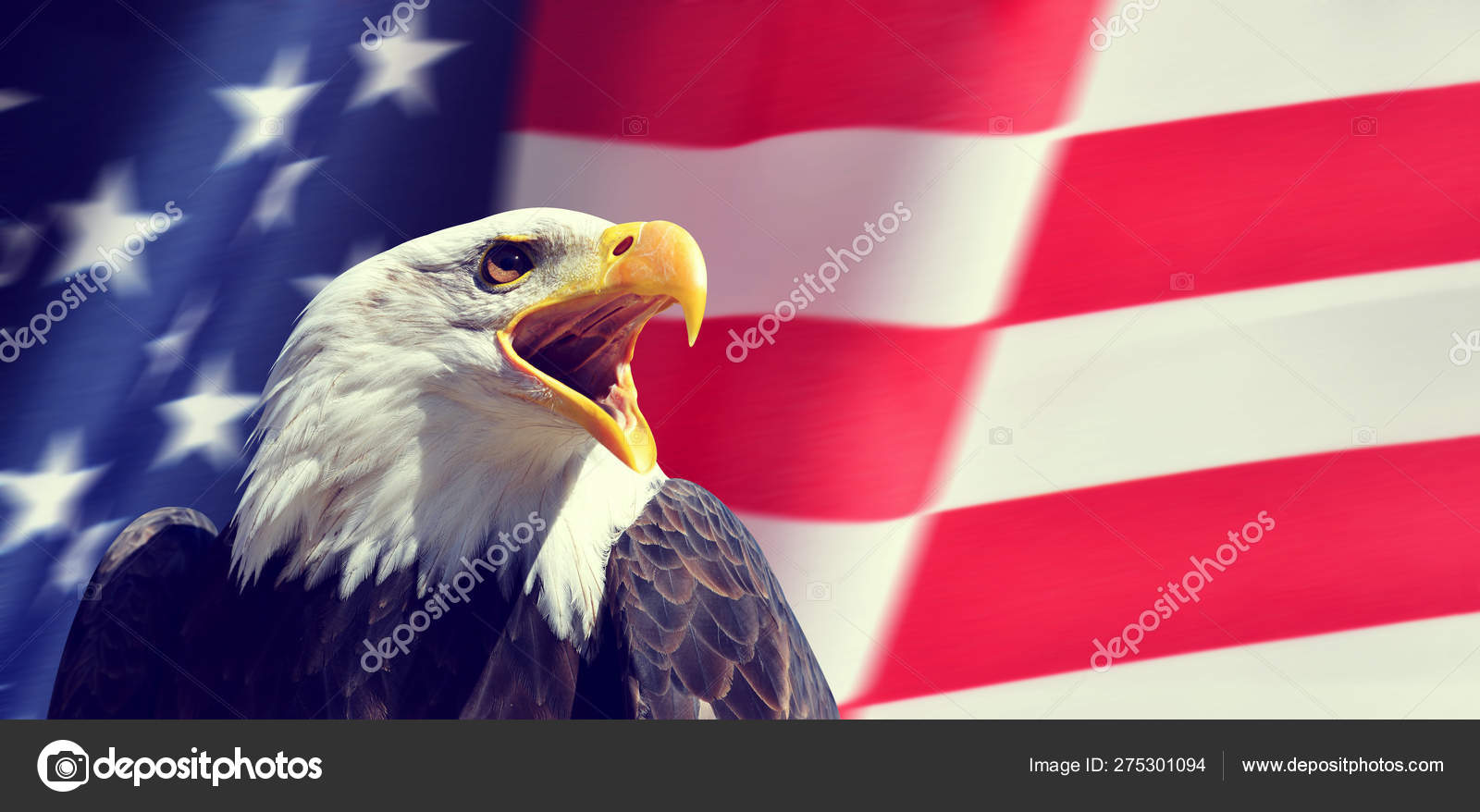 American Symbols Eagle