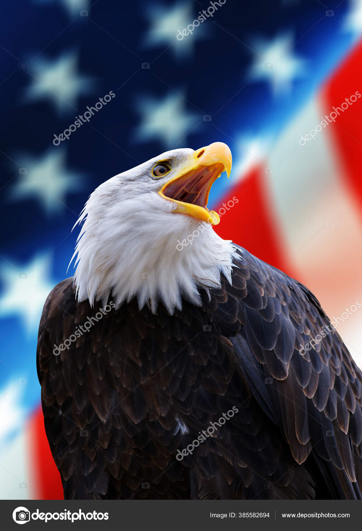 Patriotic Eagle Background