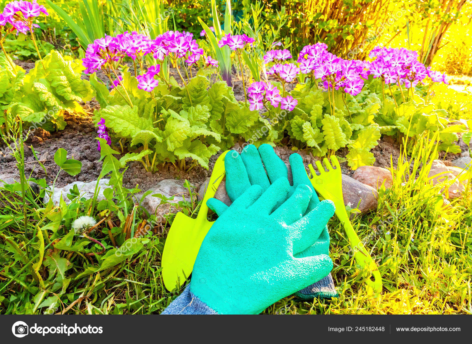 Gardening Tools Shovel Spade Pruner Rake Glove Primrose Flower Bed ...