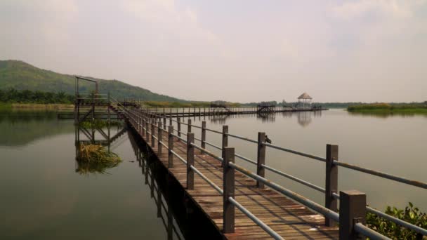 Old Bridge Long Swamp — Stock Video © Roek6969 #240615804