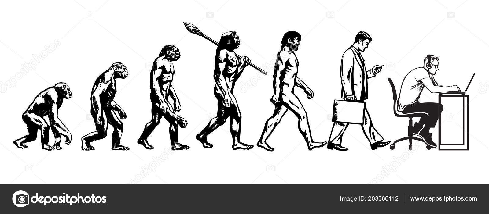 Evolutionary Line Of Man