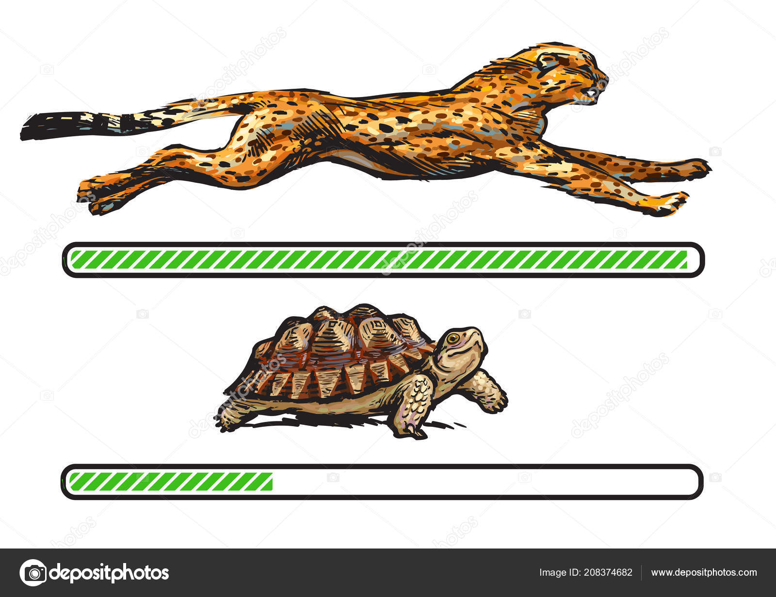 Slow Fast Clipart