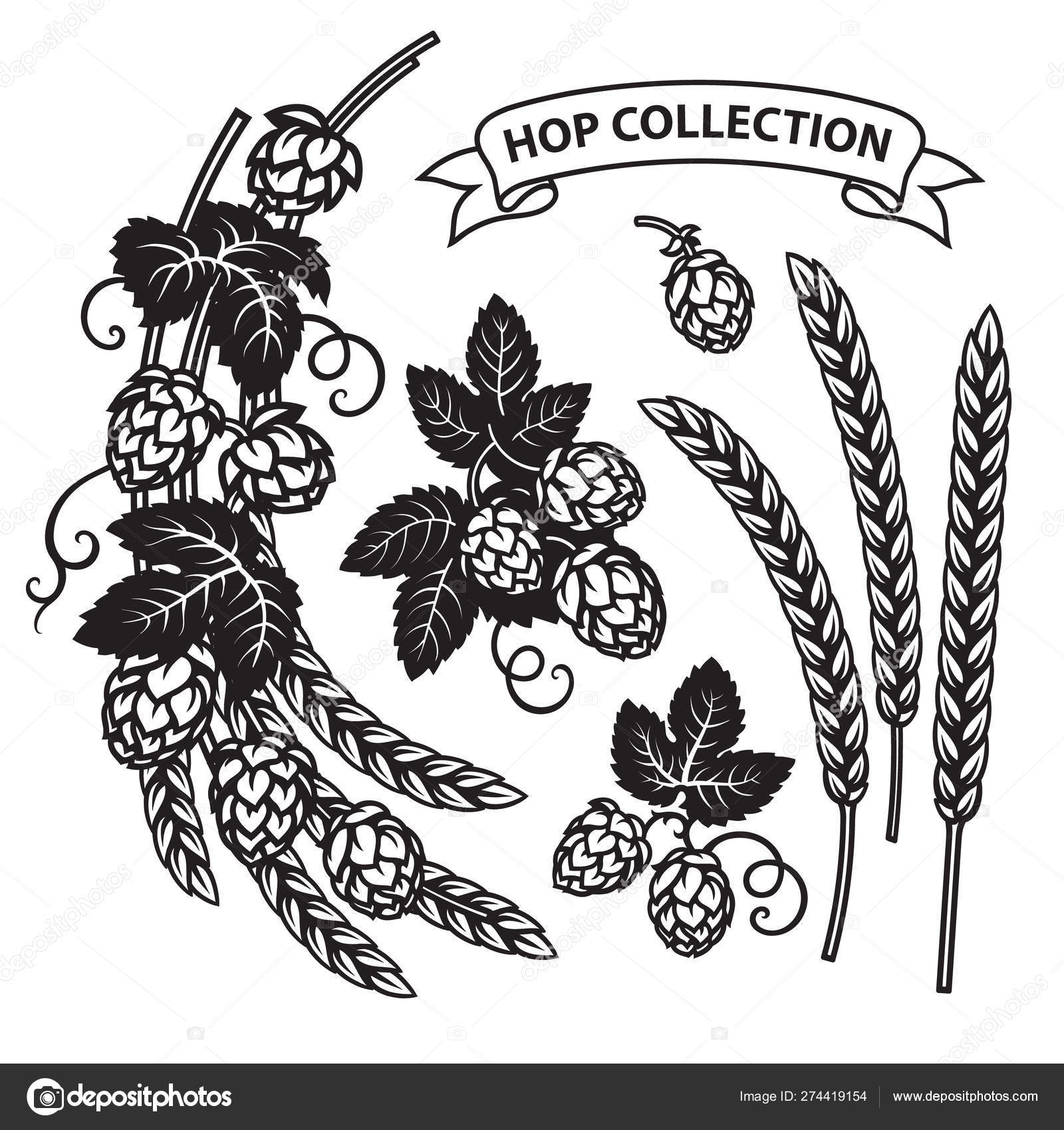 Wheat Barley And Hops Designs
