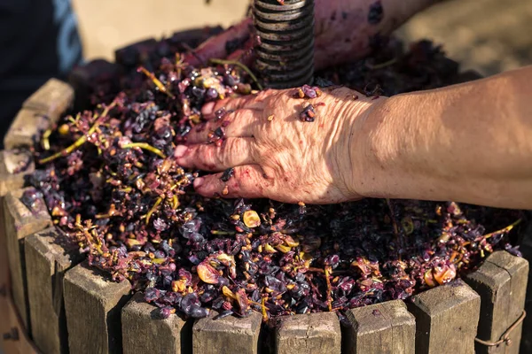 Imágenes de El proceso de elaboración del vino, fotos de El proceso de ...