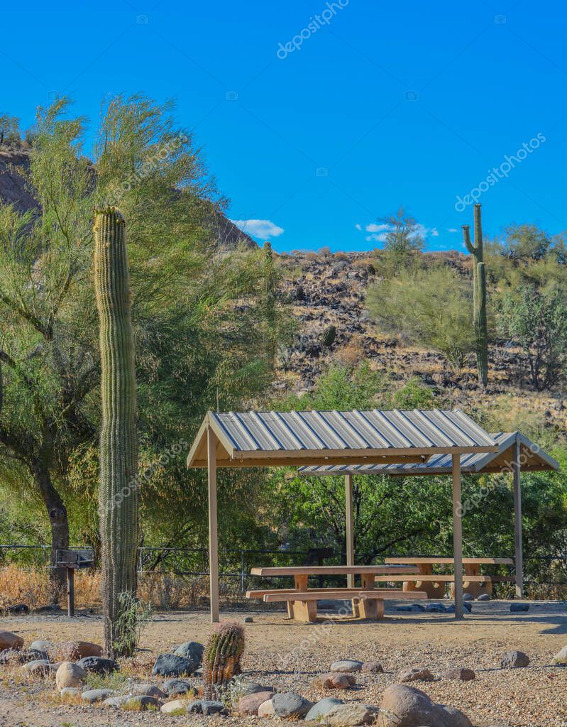 Área de picnic con mesa de picnic y barbacoa en el Parque Regional Lake ...