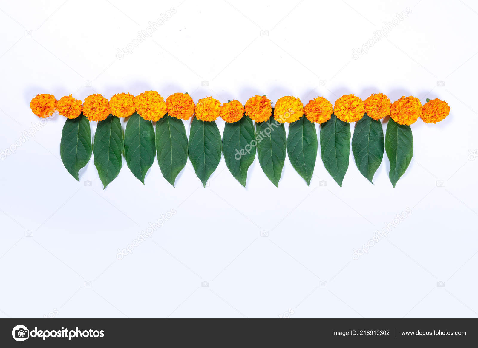 Marigold Flower Rangoli Design Diwali Festival Indian Festival Flower ...