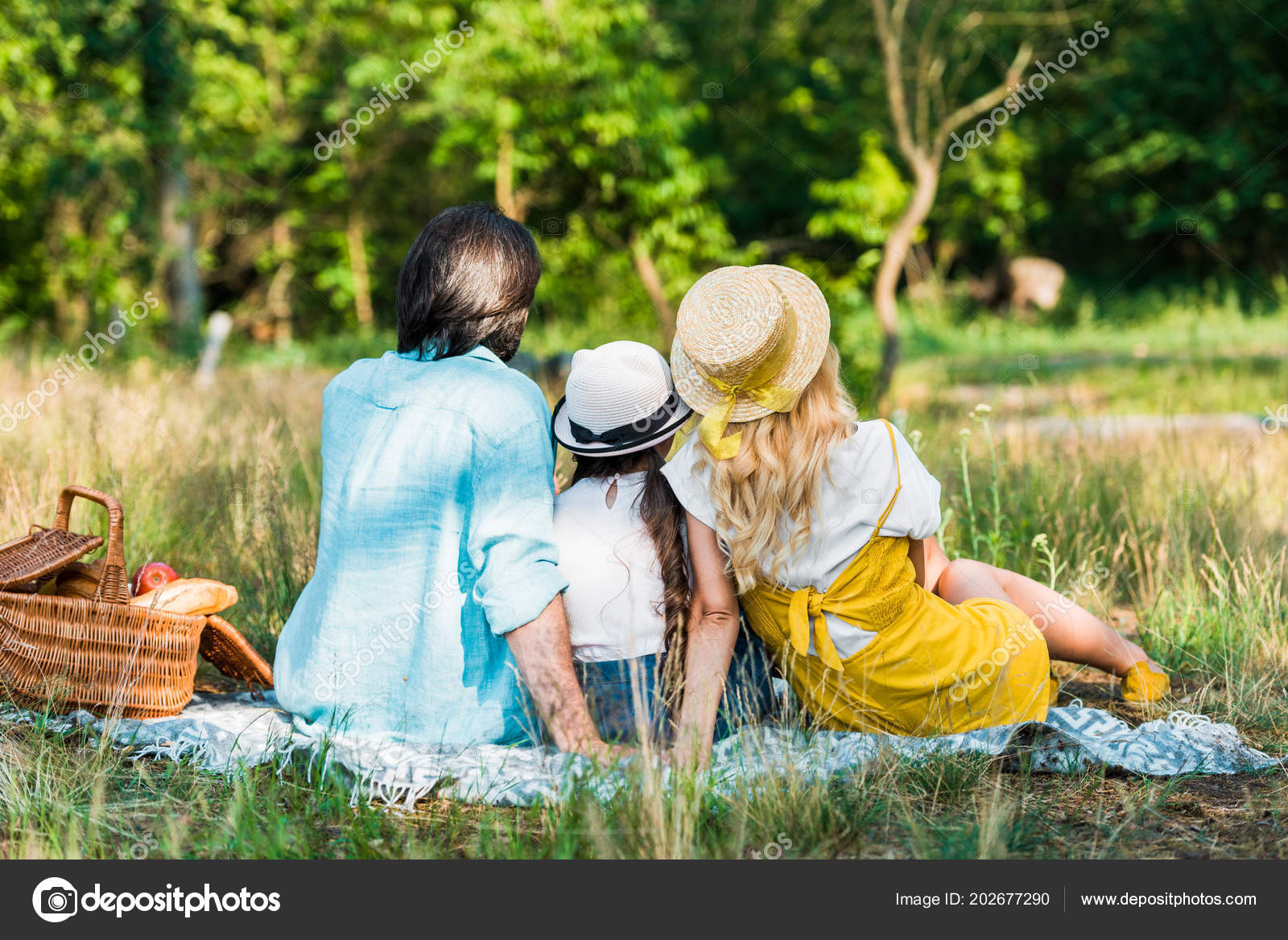 Back View Parents Daughter Sitting Blanket Picnic — Stock Photo ...