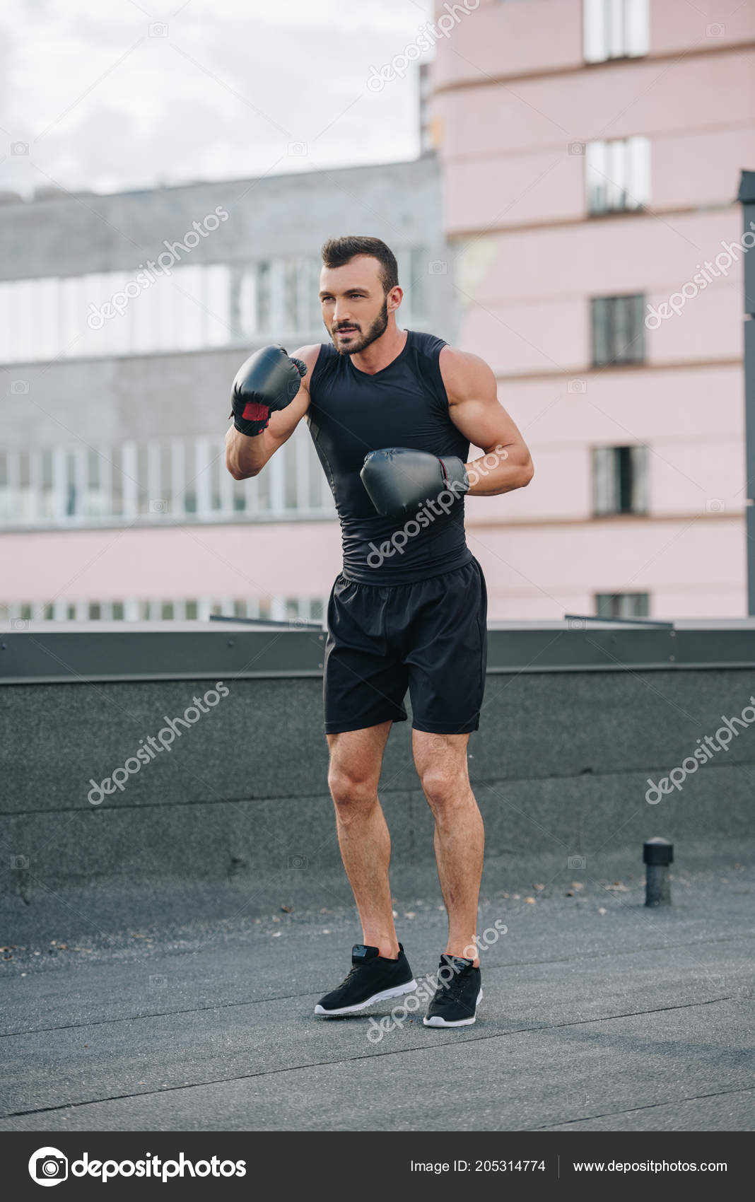 Handsome Boxer Training Roof Black Boxing Gloves — Free Stock Photo ...