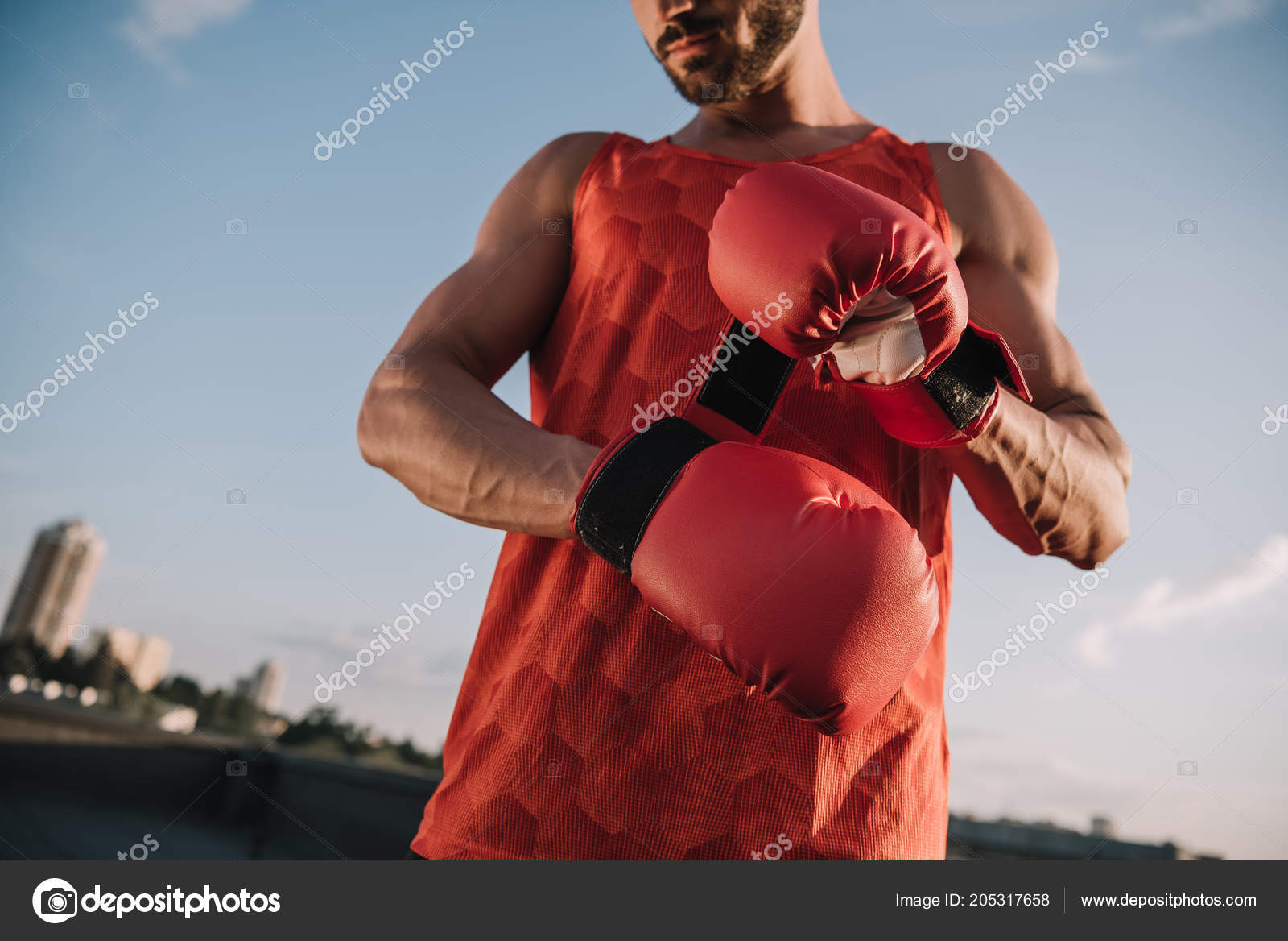 Cropped Image Sportsman Tying Red Boxing Glove Roof — Free Stock Photo ...