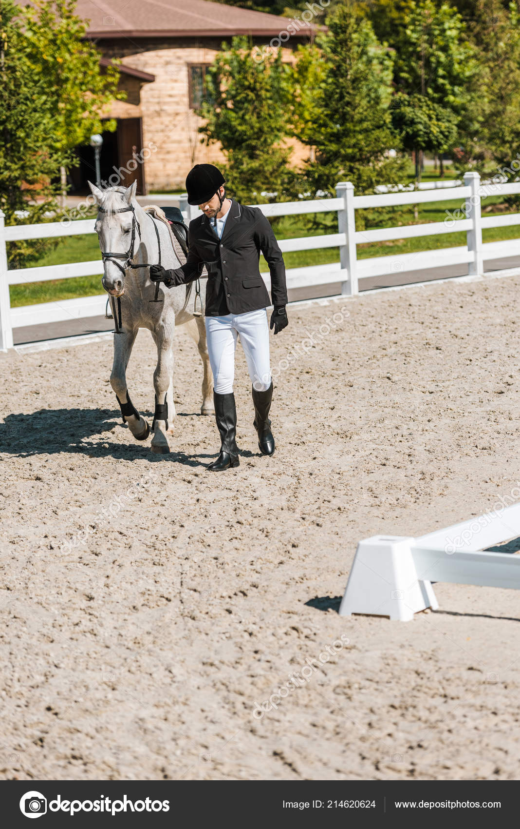 Handsome Male Equestrian Professional Apparel Walking Horse Horse Club ...