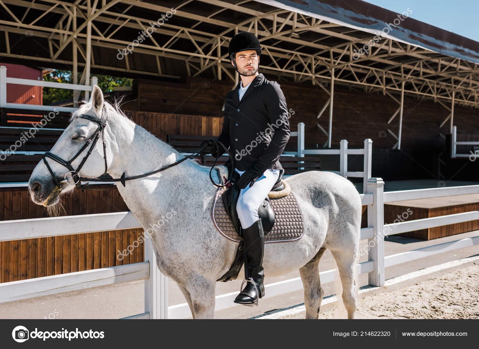 Handsome Male Equestrian Riding White Horse Horse Club Stock Photo by ...