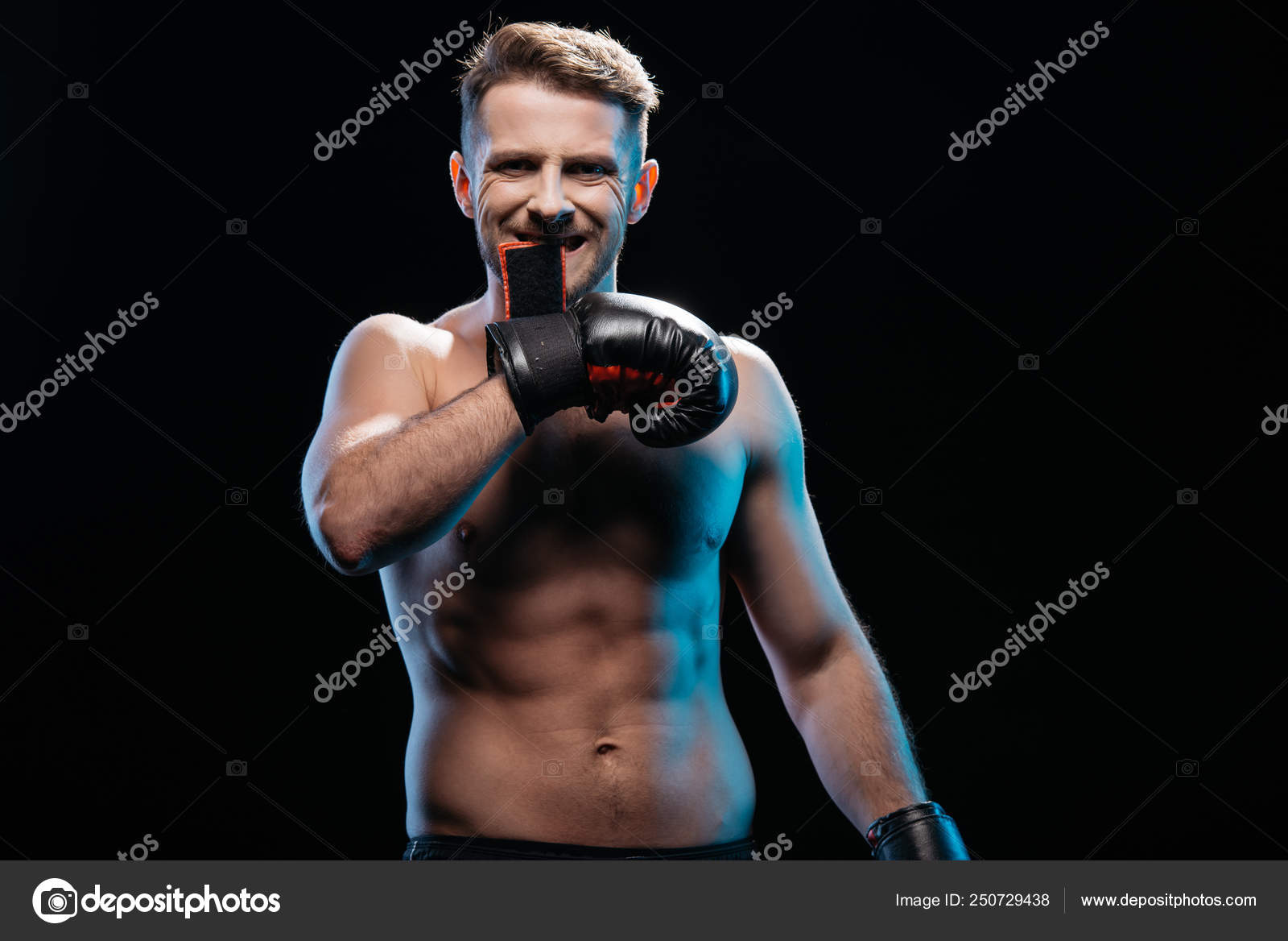 Muscular Sporty Boxer Taking Boxing Gloves Mouth Isolated Black Stock ...