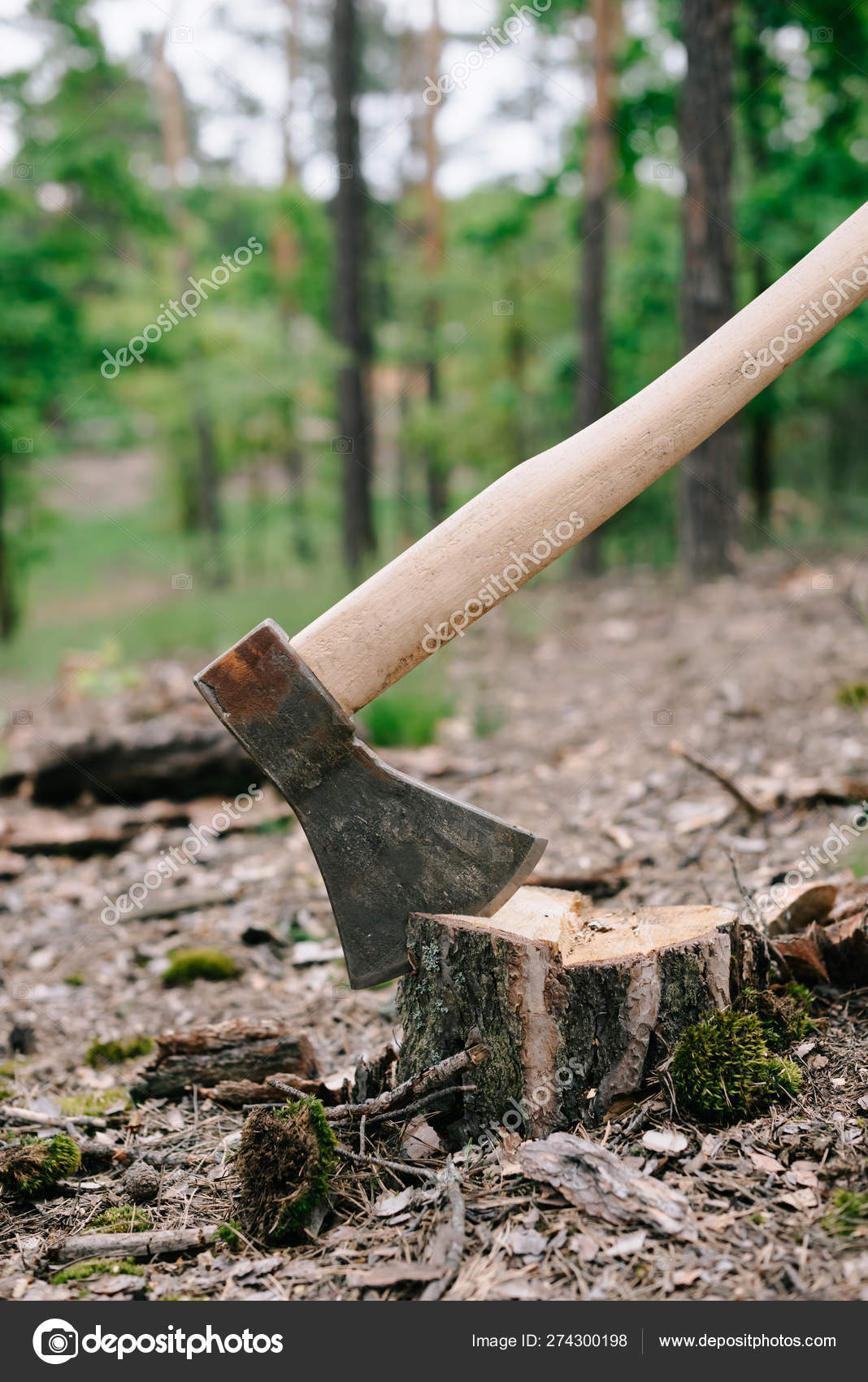 Heavy Sharp Axe Wooden Handle Wood Stump Forest — Stock Photo ...