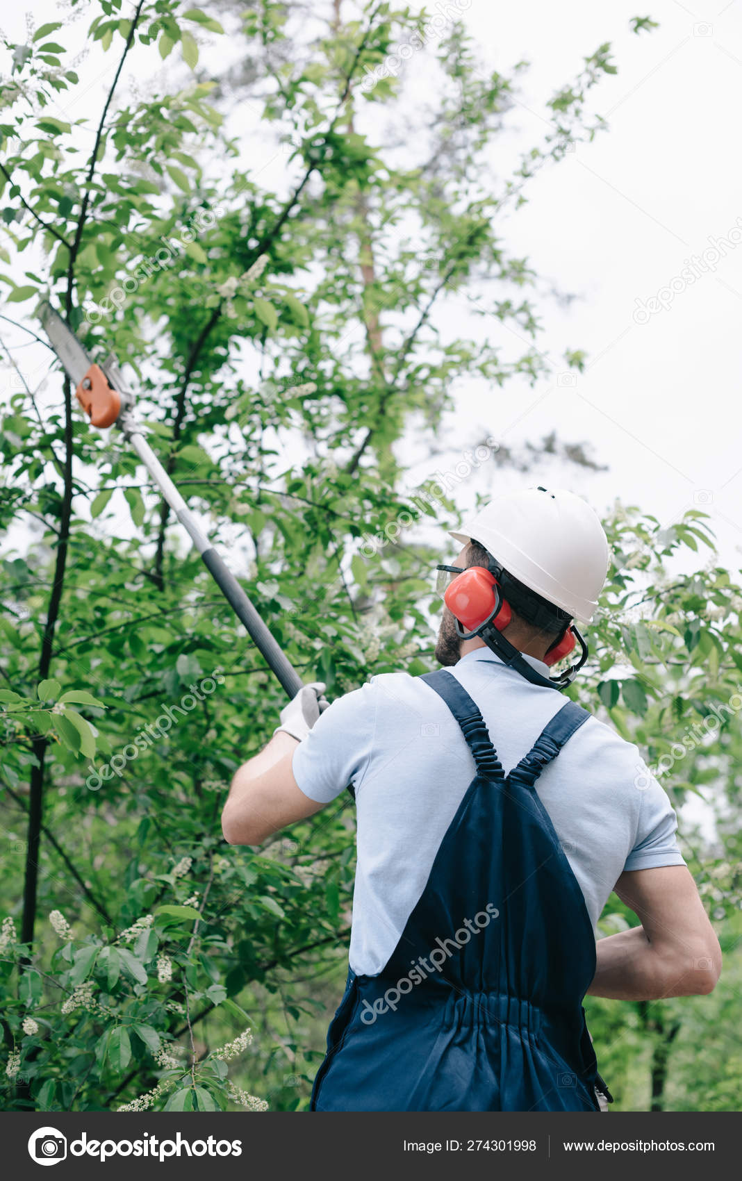 Back View Gardener Helmet Trimming Trees Telescopic Pole Saw — Stock ...