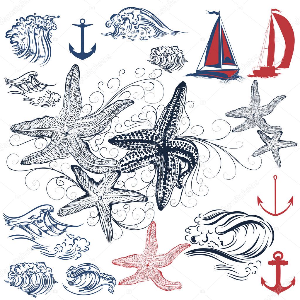 Colección de elementos vectoriales del mar en el tema de vacaciones ...