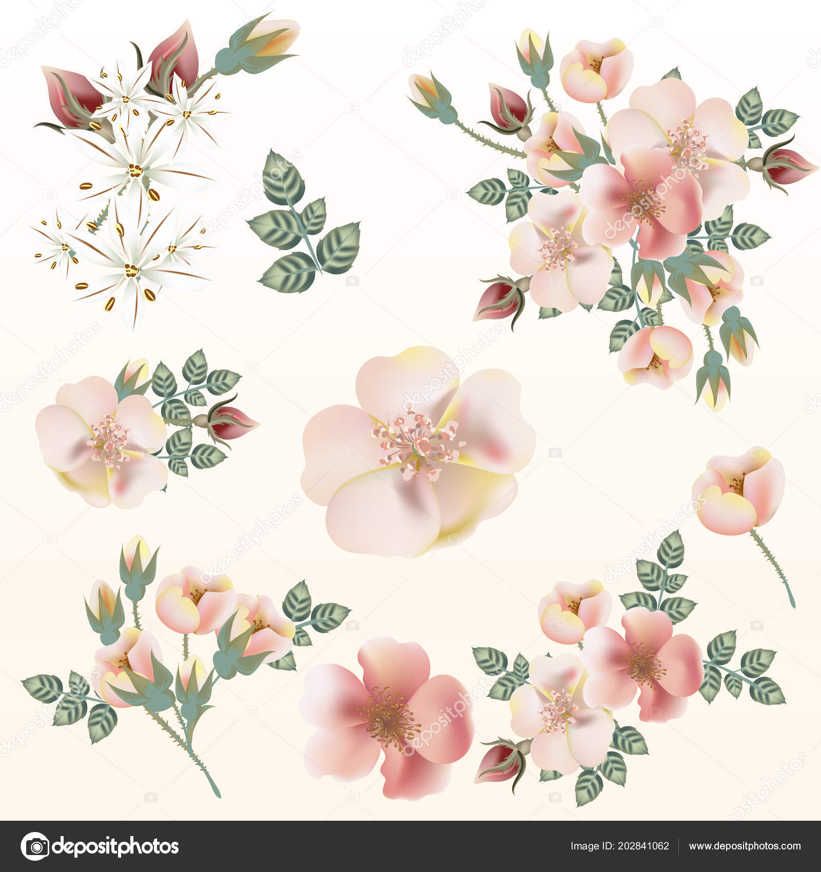 Big Set Vector Pink Pastel Wild Roses Date Cards Invitations Stock ...