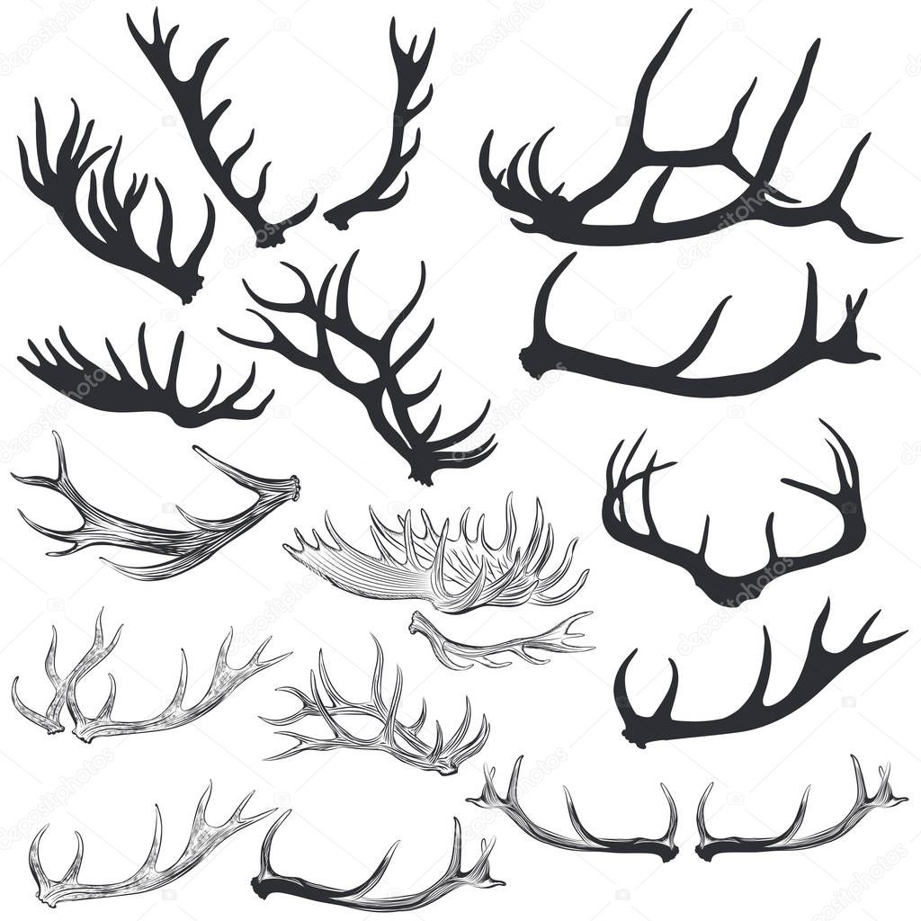 Gran colección de cuernos de ciervo vectorial para el diseño 2023