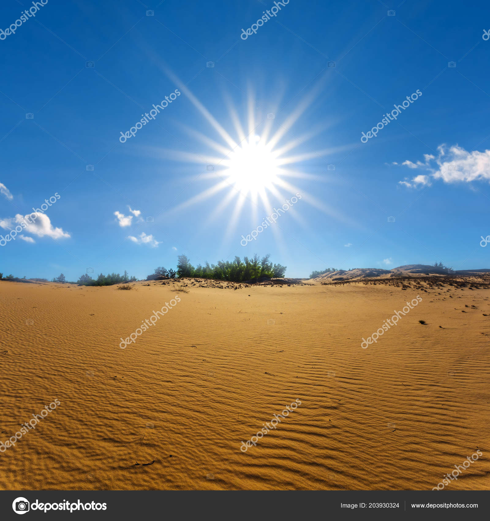 Hot Summer Sandy Desert Sparkle Sun Stock Photo by ©york_76 203930324