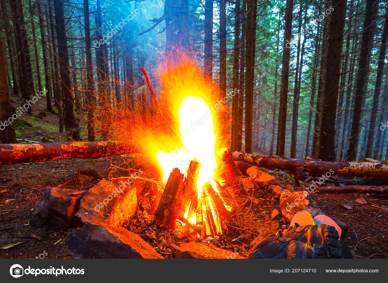 Small Campfire In Forest