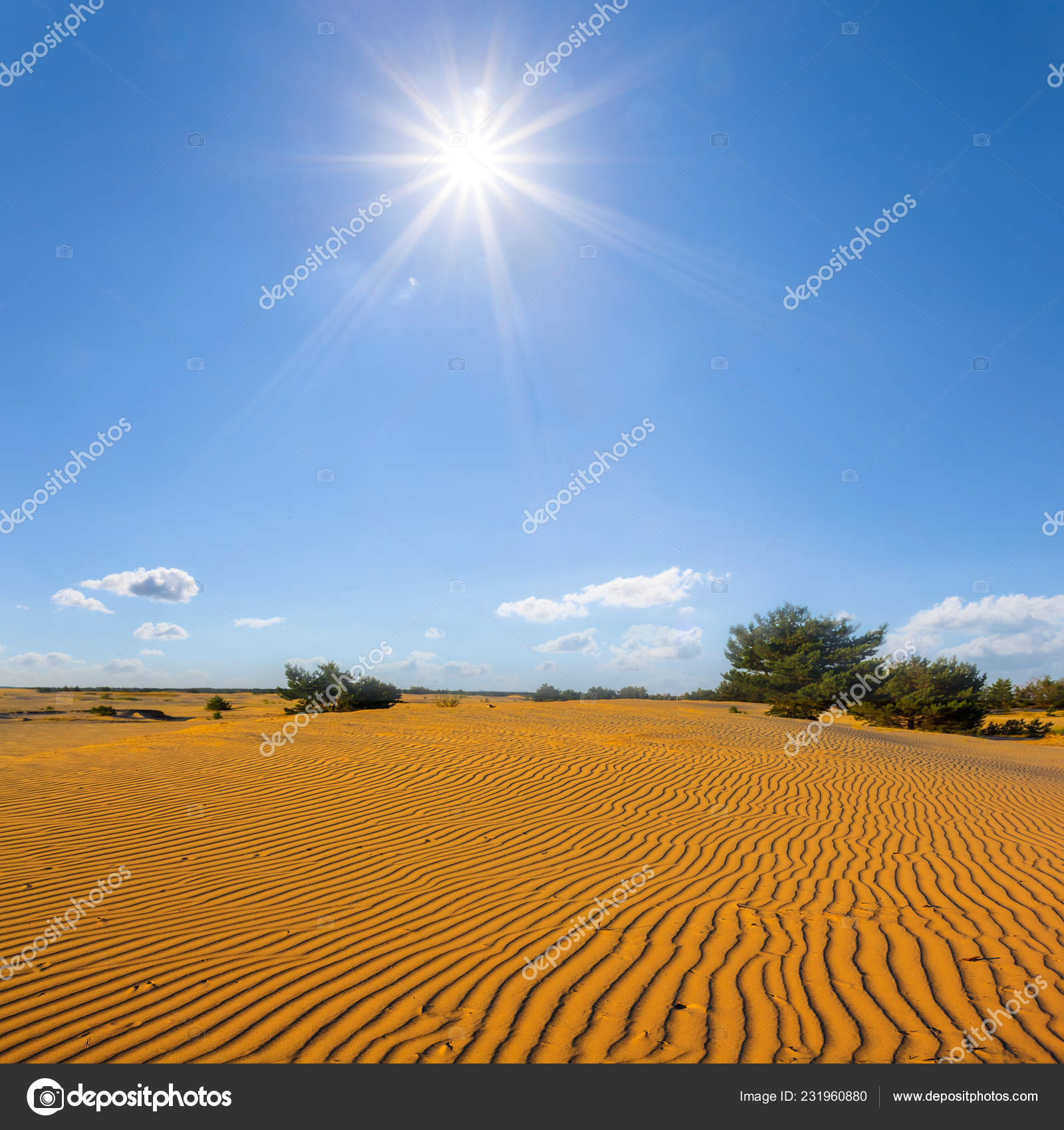 Sandy Desert Scene Hot Summer Day Stock Photo by ©york_76 231960880
