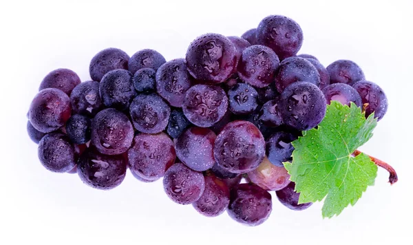 포도아이콘 Stock Photos, Royalty Free 포도아이콘 Images | Depositphotos