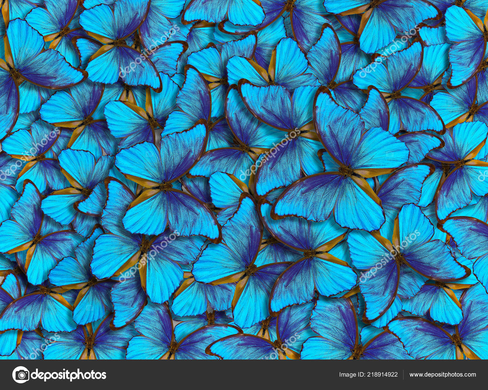 Blue Butterfly Abstract Backgrounds