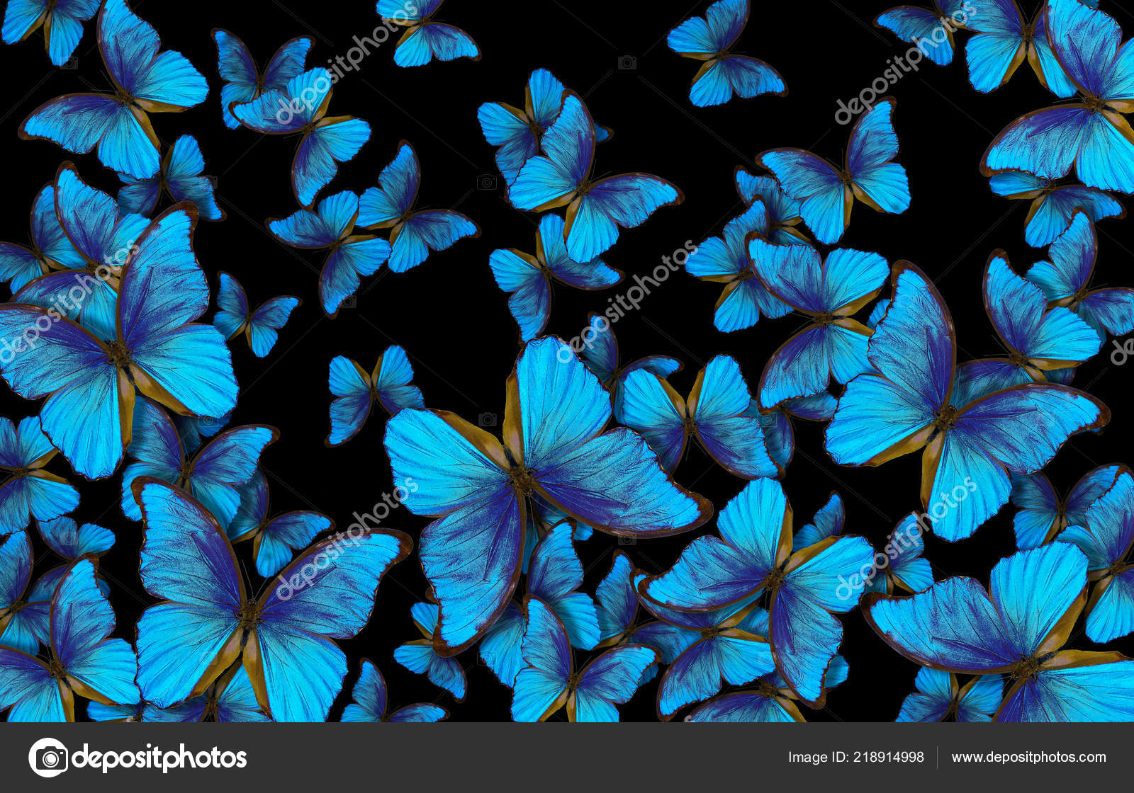 Blue Butterfly Abstract Backgrounds