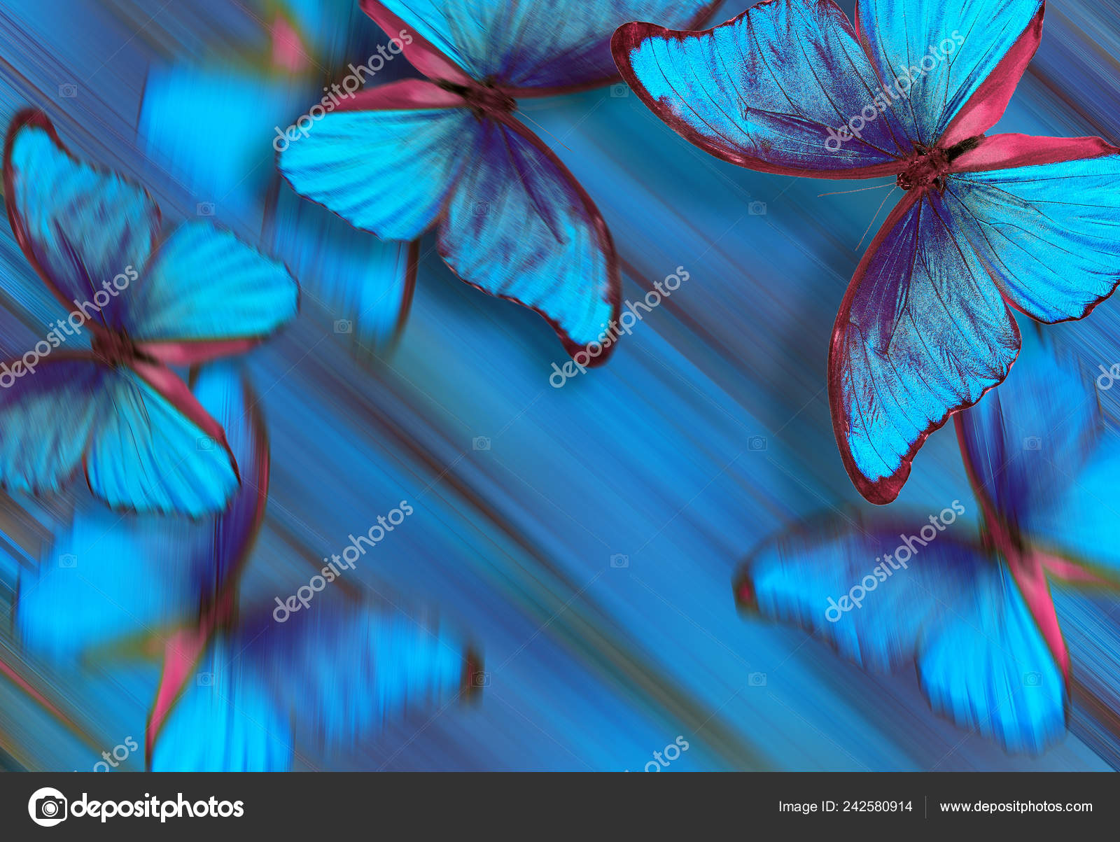 Blue Butterflies Morpho Texture Background Butterflies Flight Blue ...