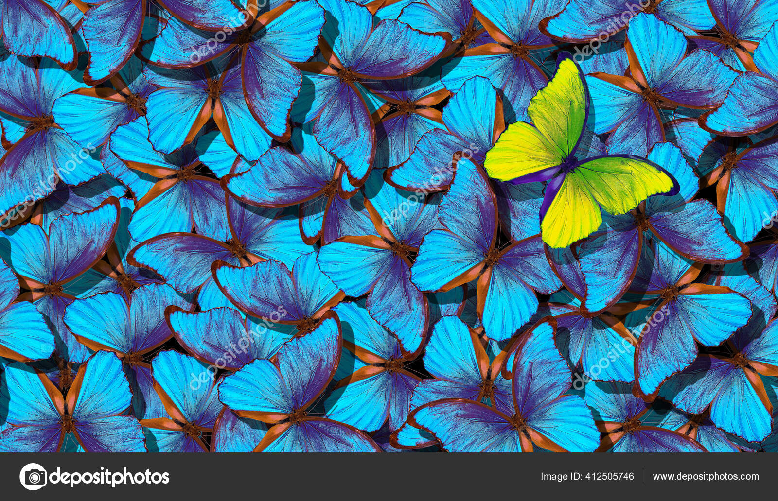 Blue Butterfly Abstract Backgrounds