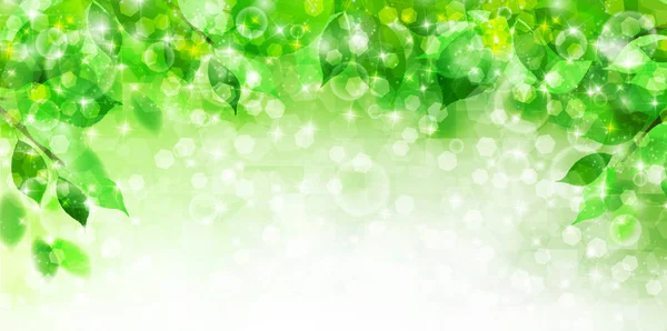 Hijau Segar Daun Latar Belakang Hijau Vektor Stok oleh ©JBOY24 251769000