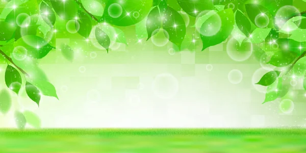 Hijau Segar Daun Latar Belakang Hijau Vektor Stok oleh ©JBOY24 251769000