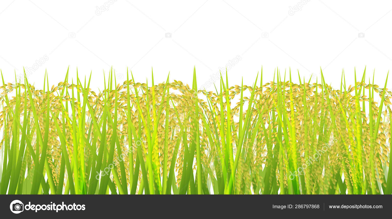Rice Rice Autumn Background Stock Vector by ©JBOY24 286797868