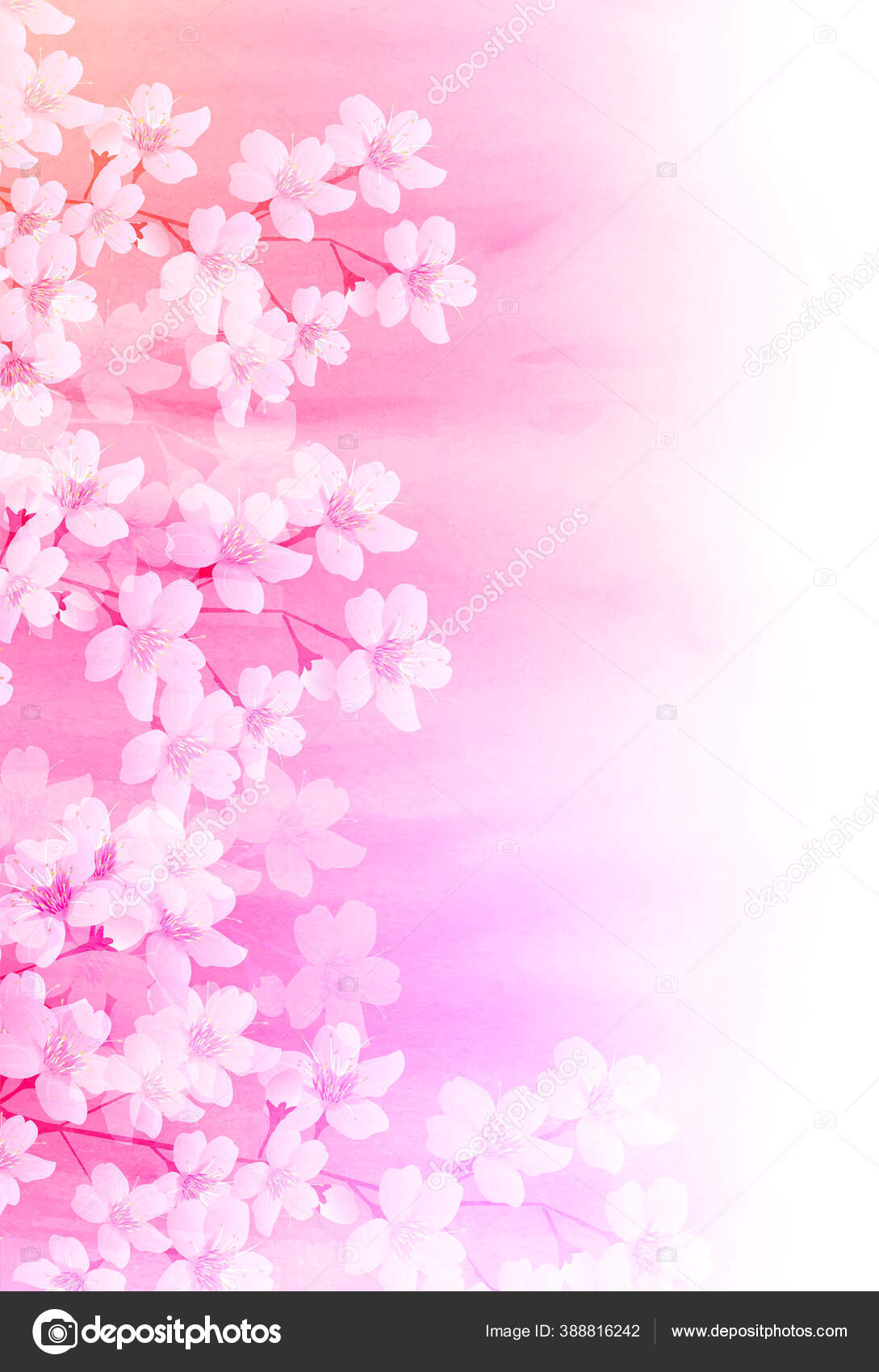 Cherry Blossom Spring Flower Background Stock Vector by ©JBOY24 388816242
