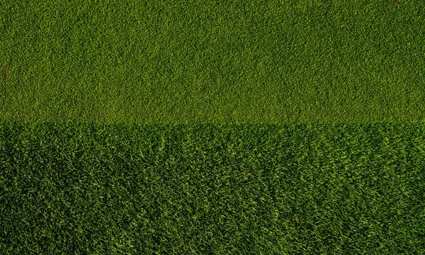 Cut grass Stock Photos, Royalty Free Cut grass Images | Depositphotos