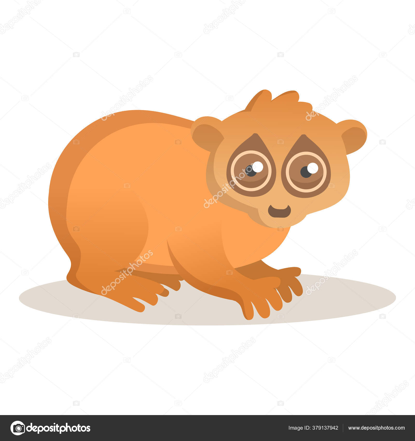 Cute loris sitting. Flat vector illustration, isolated on white ...
