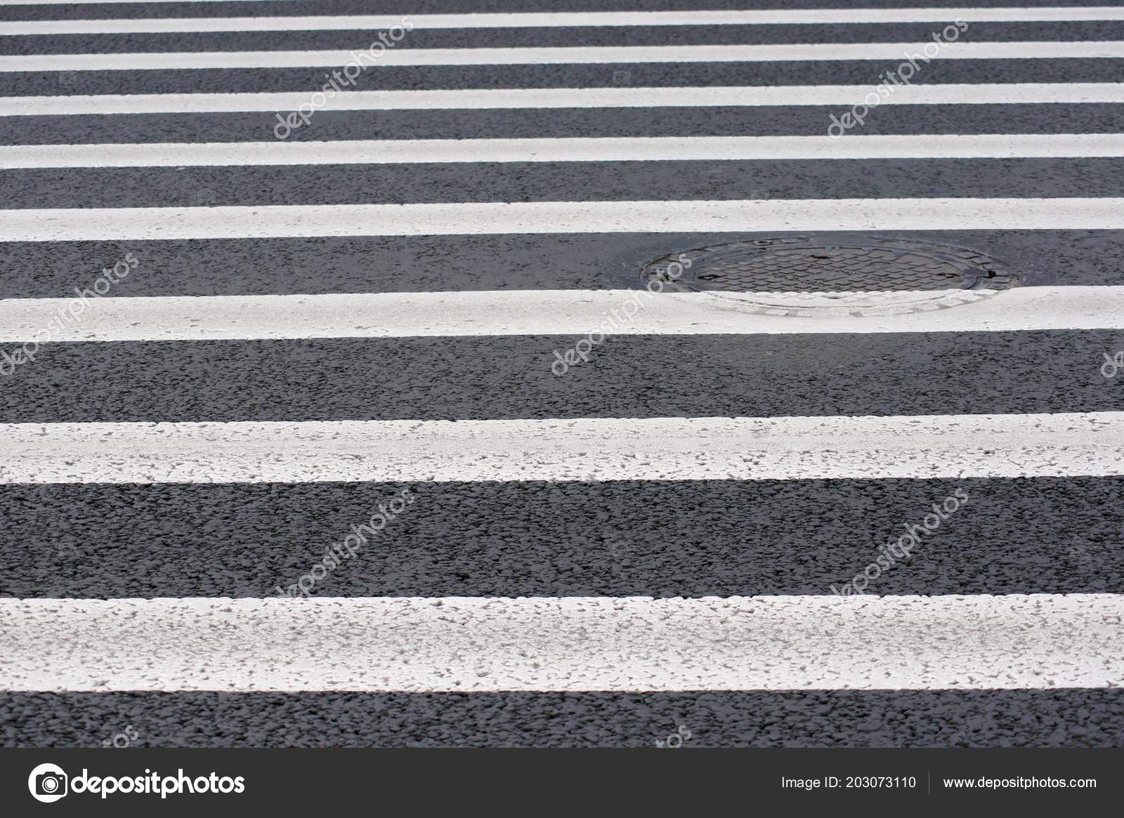 Zebra Type Road Marking Which Designates Crosswalk — Stock Photo ...