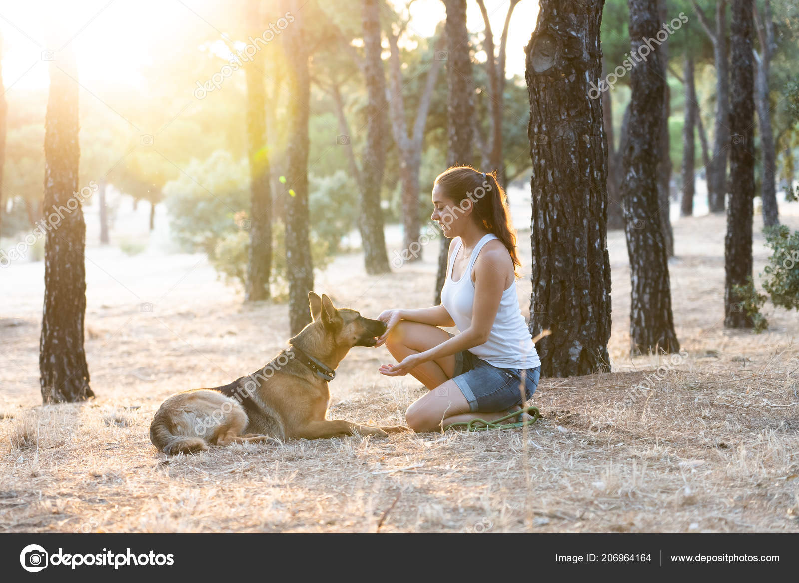 Woman teaching and loving her dog Stock Photo by ©sbartsmediagmail.com 206964164