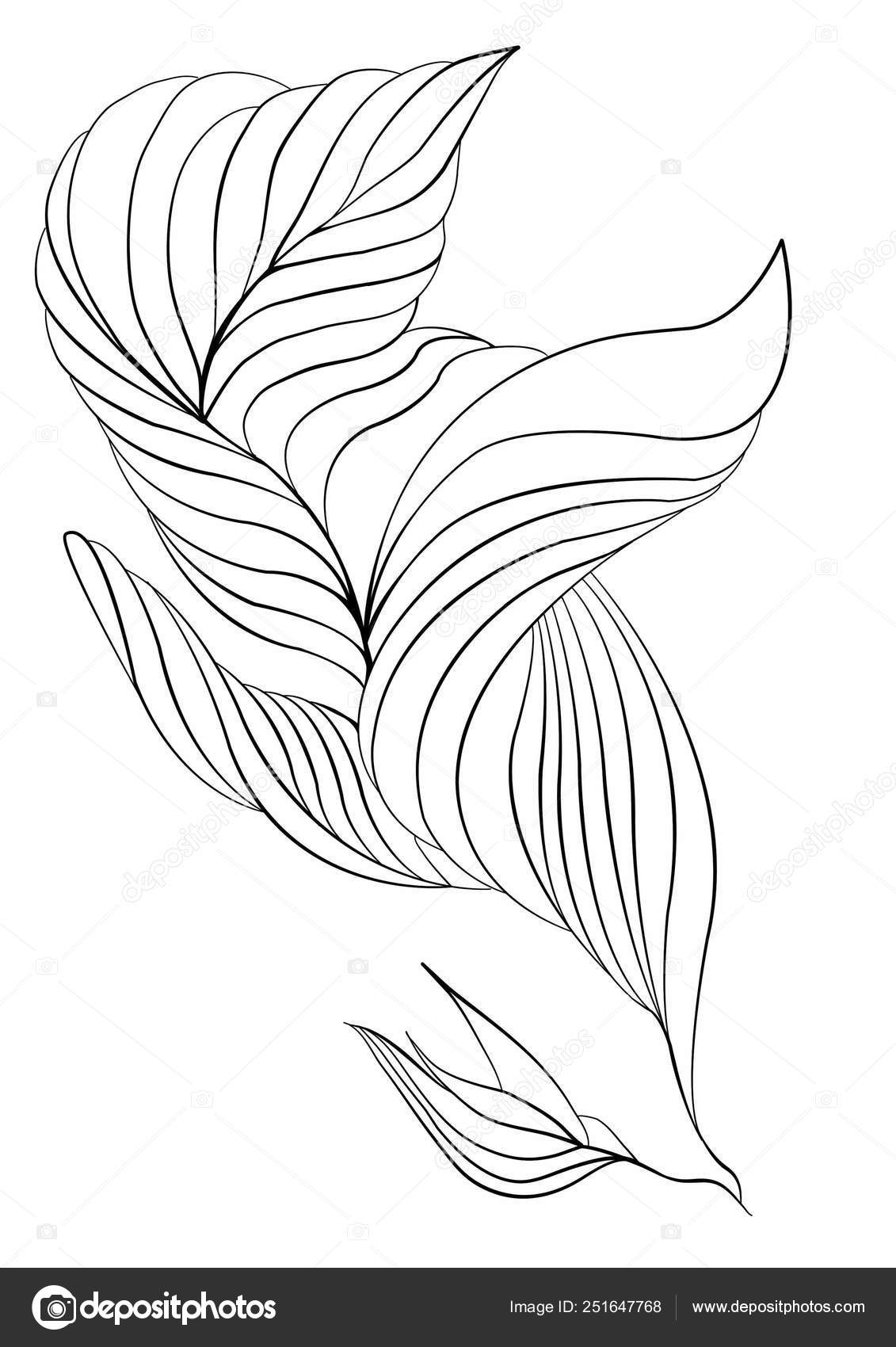 Pen Drawing White Background Stock Illustration by ©vikin #251647768