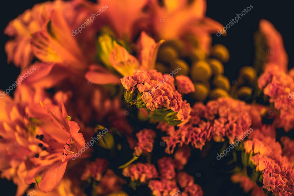 primer plano de ramo con flores de alstroemeria y limonio de color ...