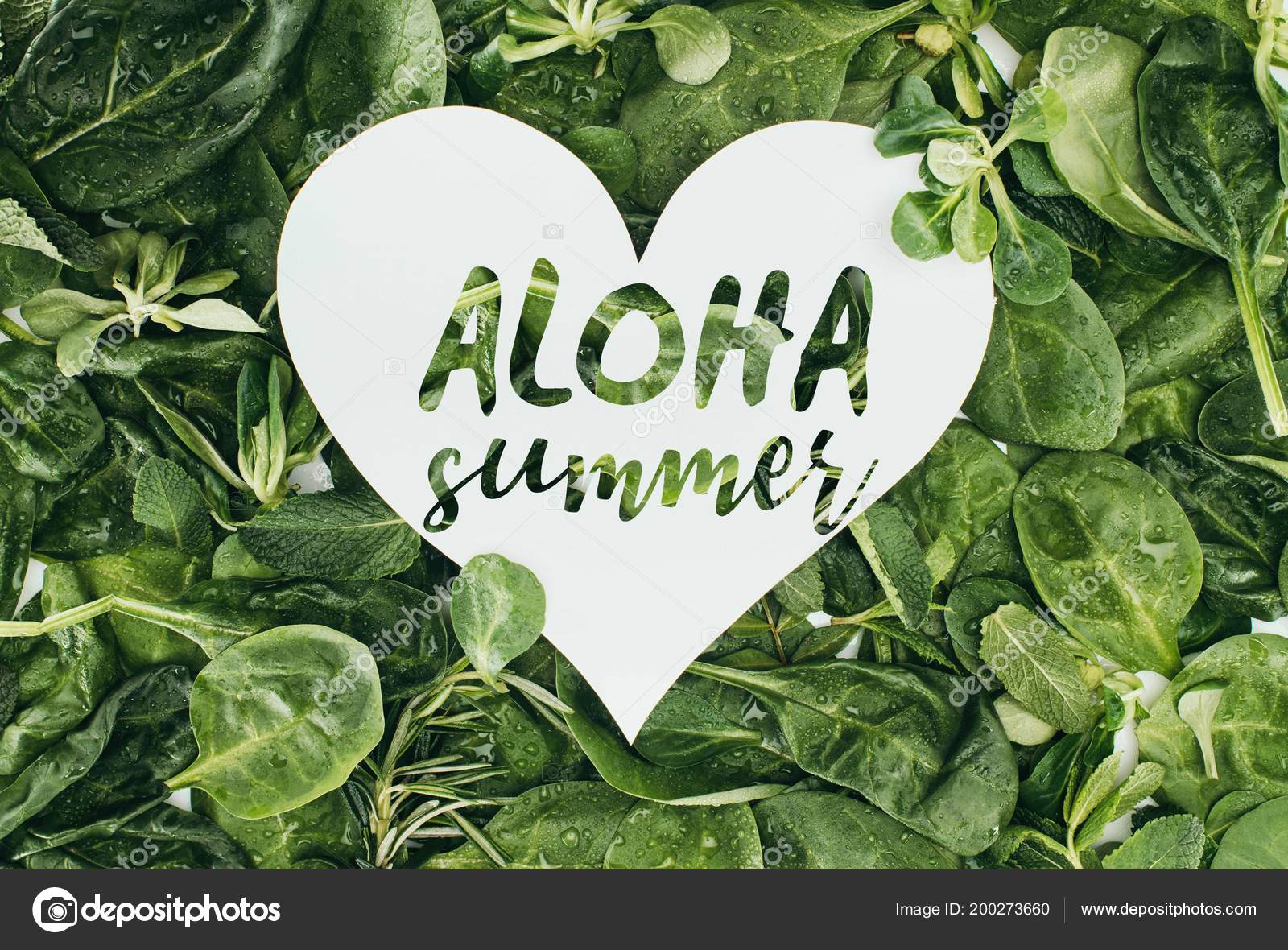 White Heart Symbol Words Aloha Summer Beautiful Wet Green Leaves ...