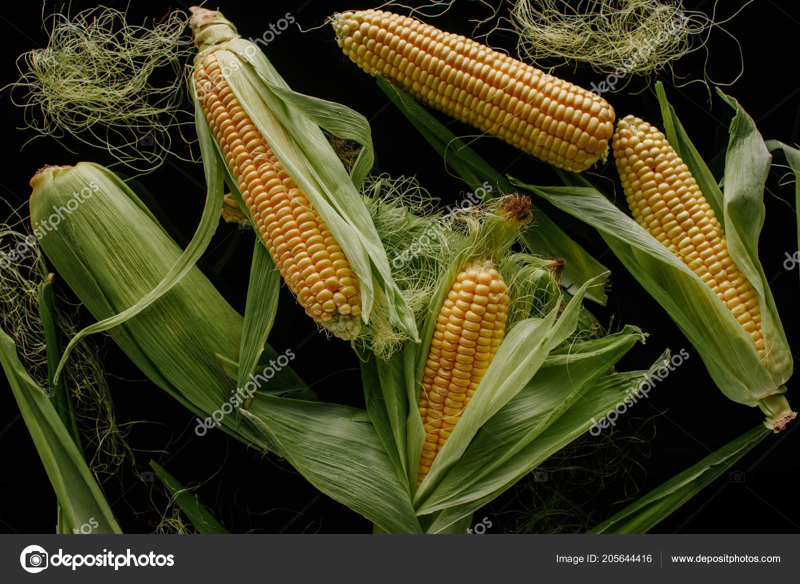 Flat Lay Arranged Fresh Ripe Corn Cobs Isolated Black — Free Stock ...