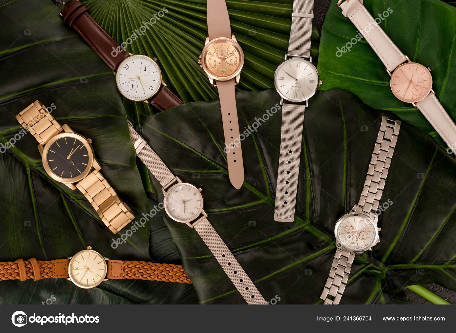 Top View Elegant Wristwatches Lying Green Leaves — Stock Photo ...