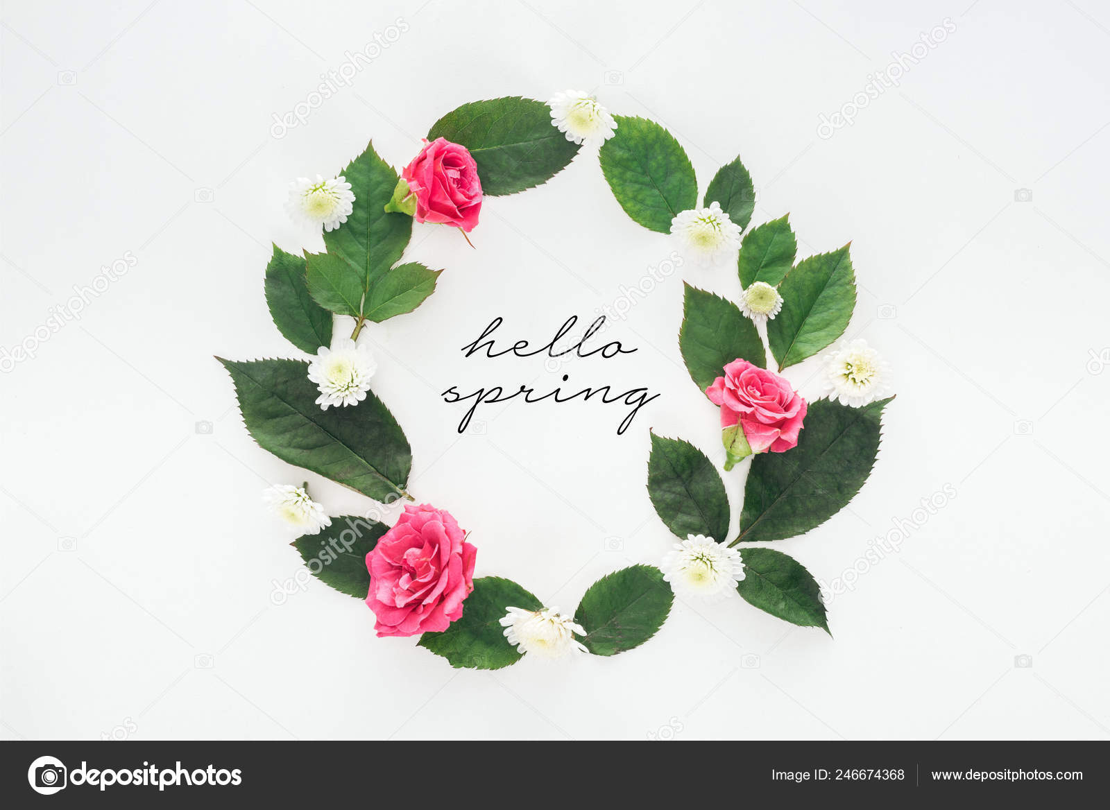 Top View Circular Composition Green Leaves Roses Chrysanthemums White ...