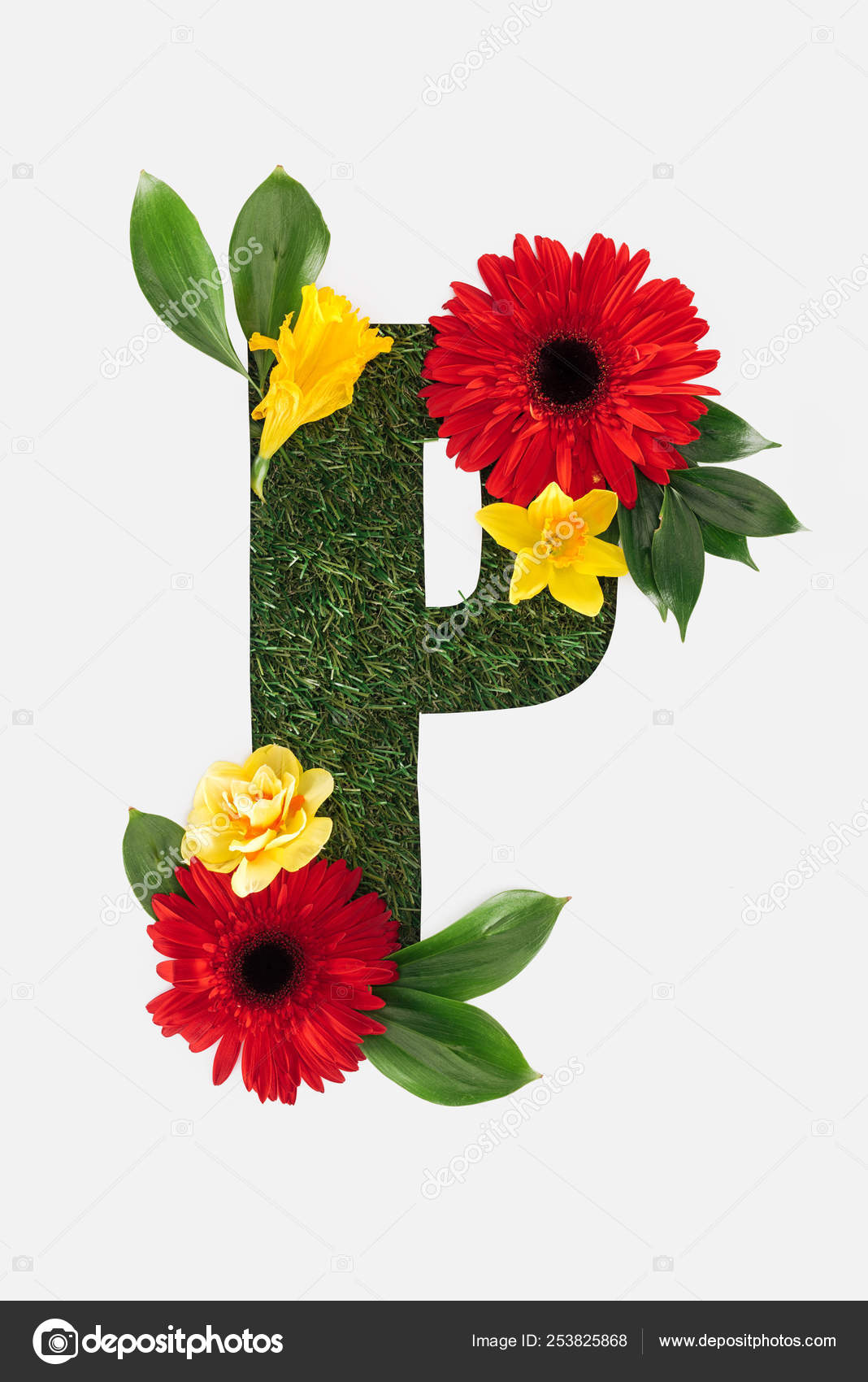 Vista Superior Letra Recortada Sobre Fondo Hierba Verde Con Gerberas ...